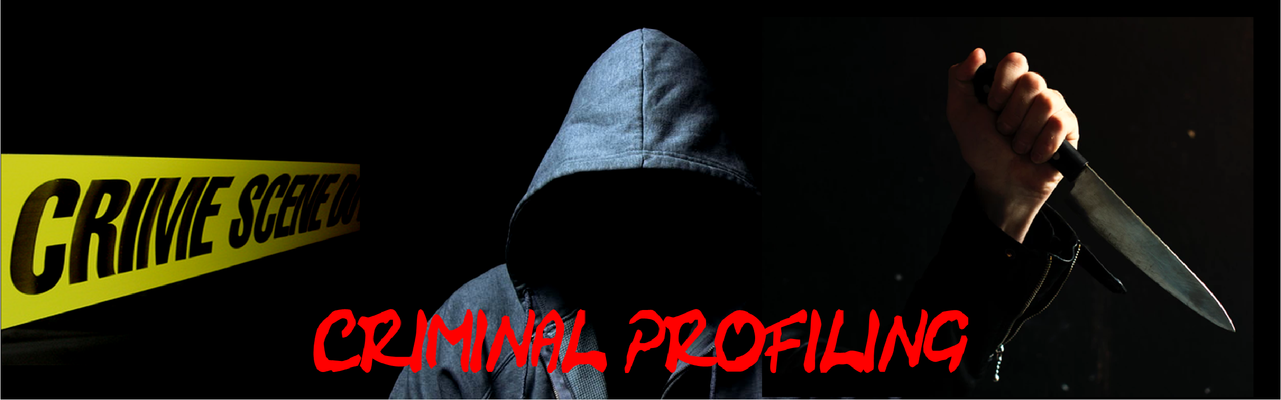 Alla scoperta del Criminal Profiling - ISF Magazine Articoli Scienze ...